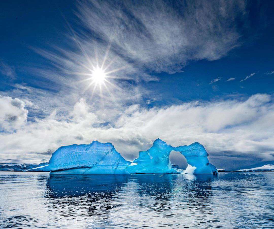 Marko Dimitrijevic | Official Profile on The Marque