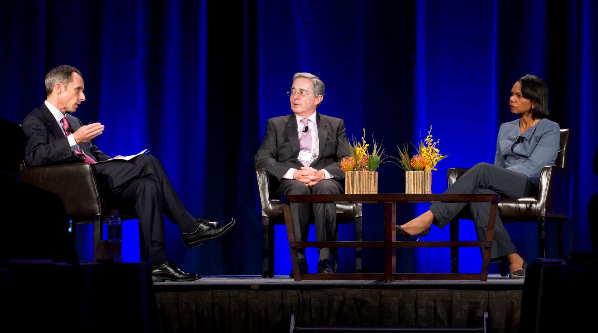 Marko Dimitrijevic | Official Profile on The Marque